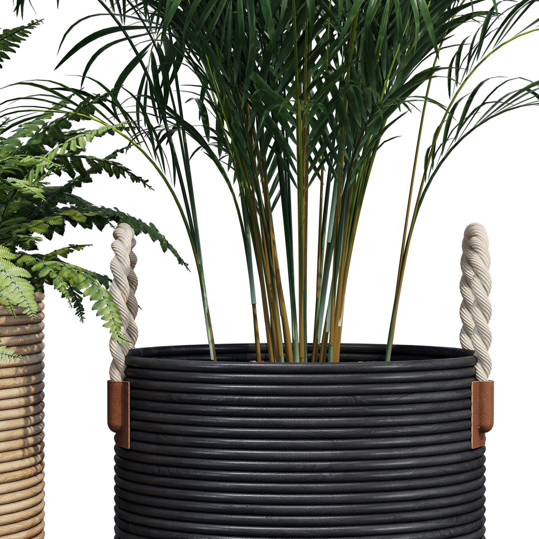 3D Bamboo Baskets Two Model - TurboSquid 1770981