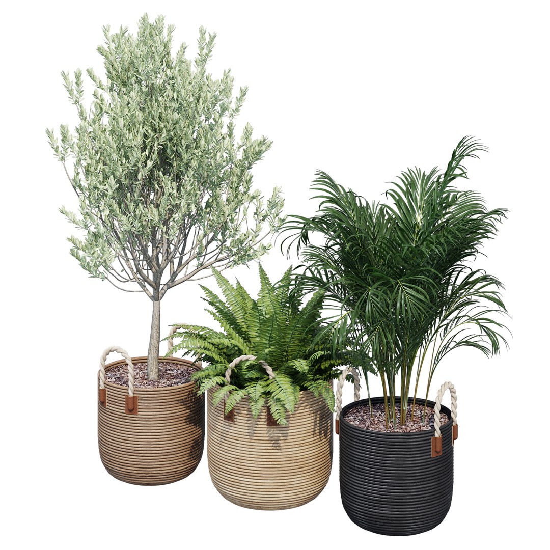 3D Bamboo Baskets Two Model - TurboSquid 1770981