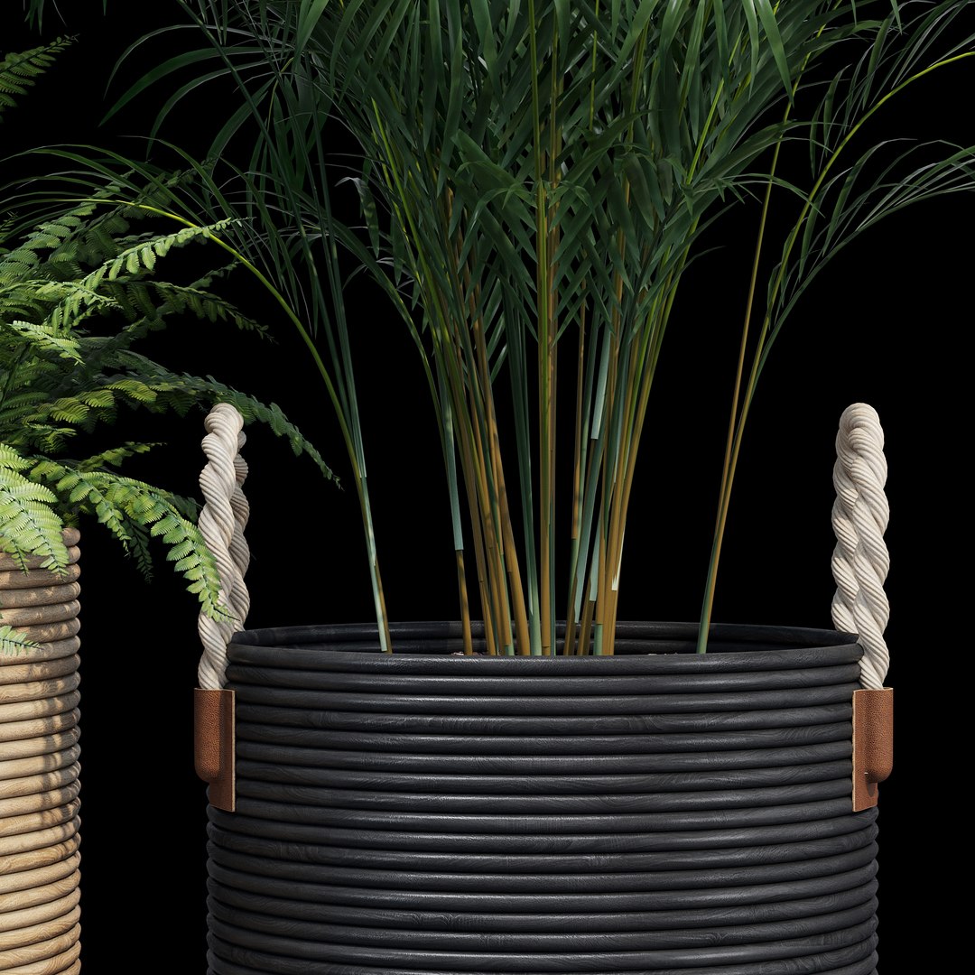 3D Bamboo Baskets Two Model - TurboSquid 1770981