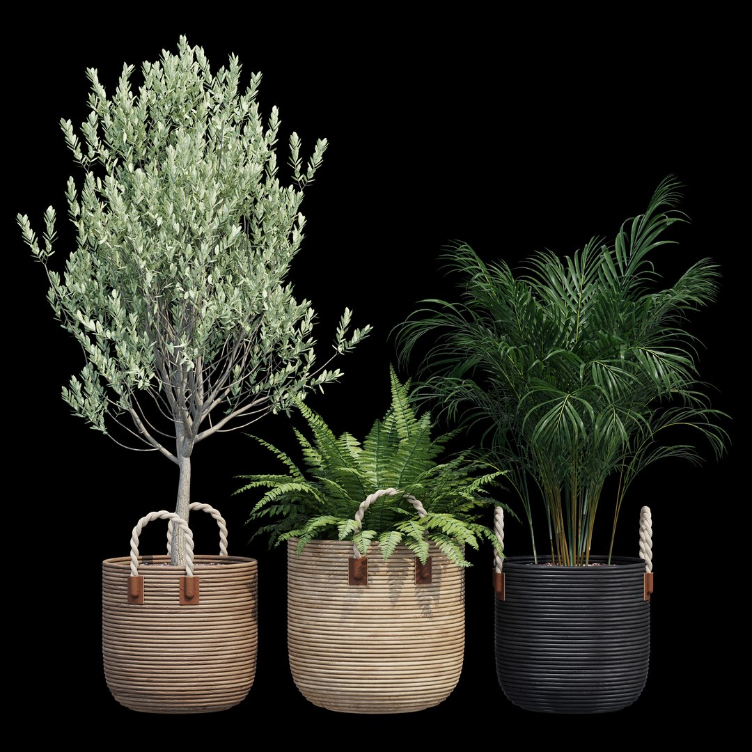 3D Bamboo Baskets Two Model - TurboSquid 1770981