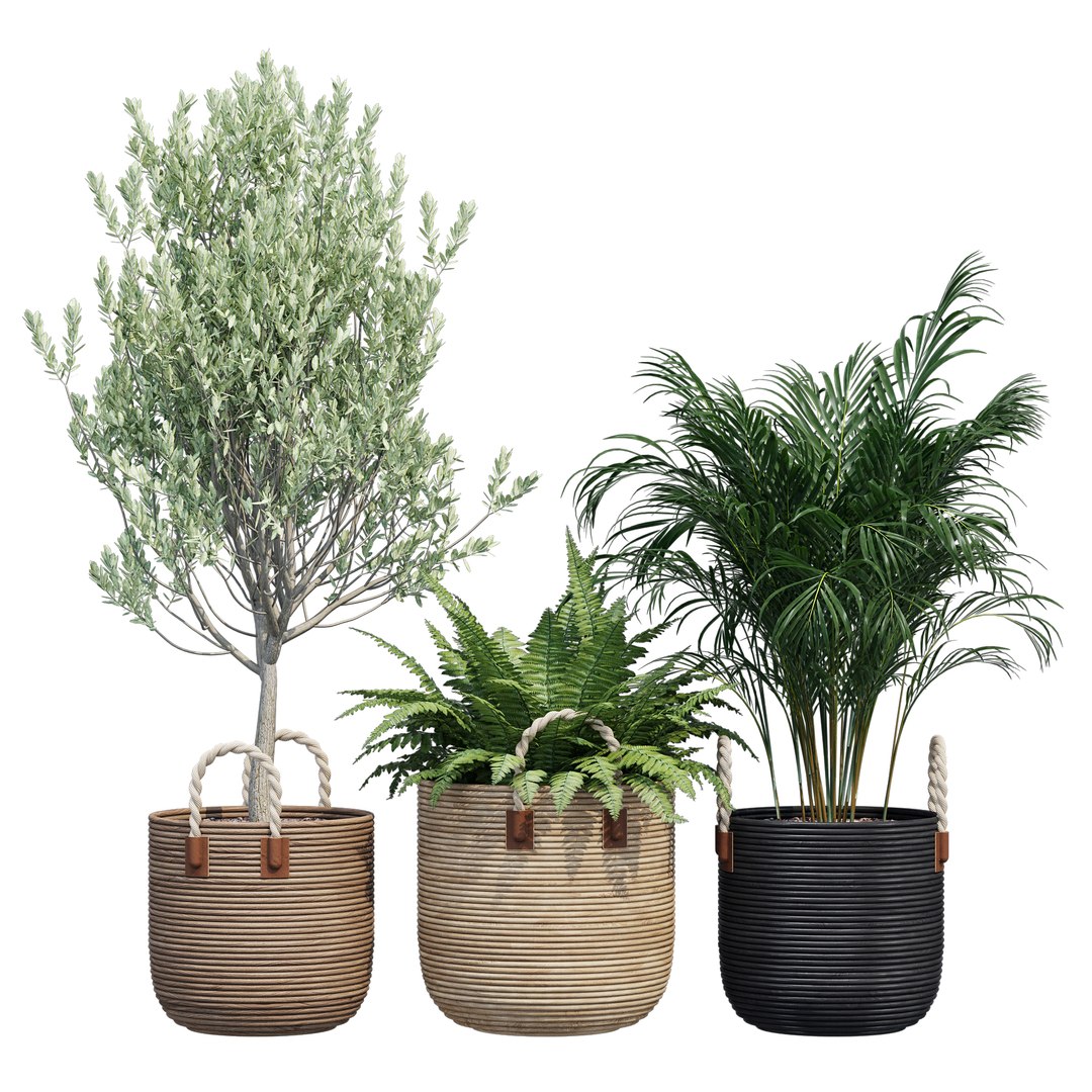 3D Bamboo Baskets Two Model - TurboSquid 1770981