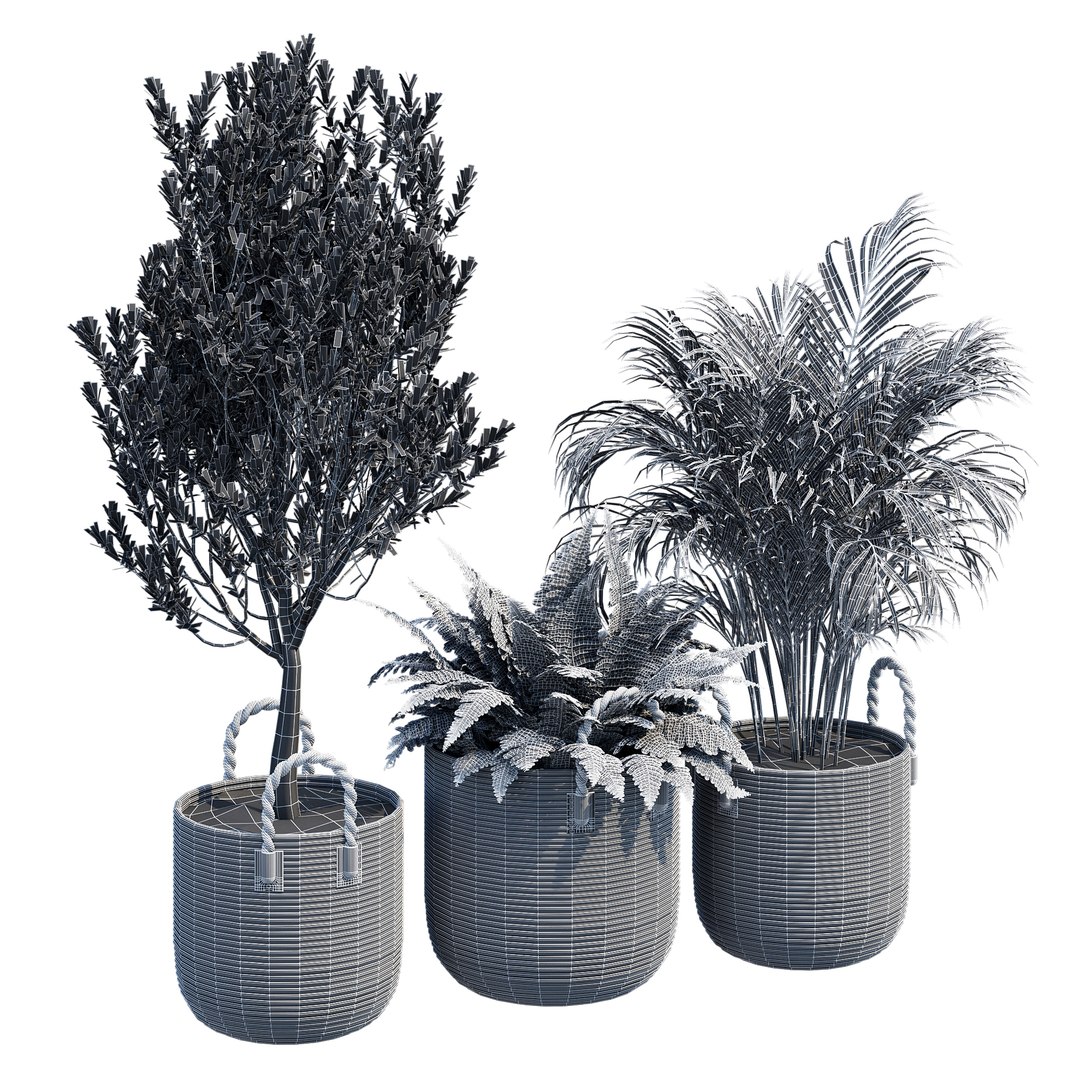 3D Bamboo Baskets Two Model - TurboSquid 1770981