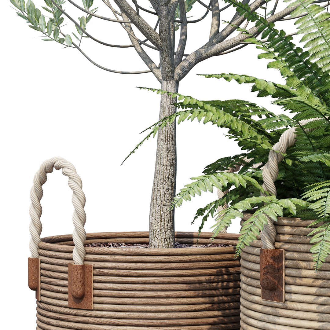3D Bamboo Baskets Two Model - TurboSquid 1770981