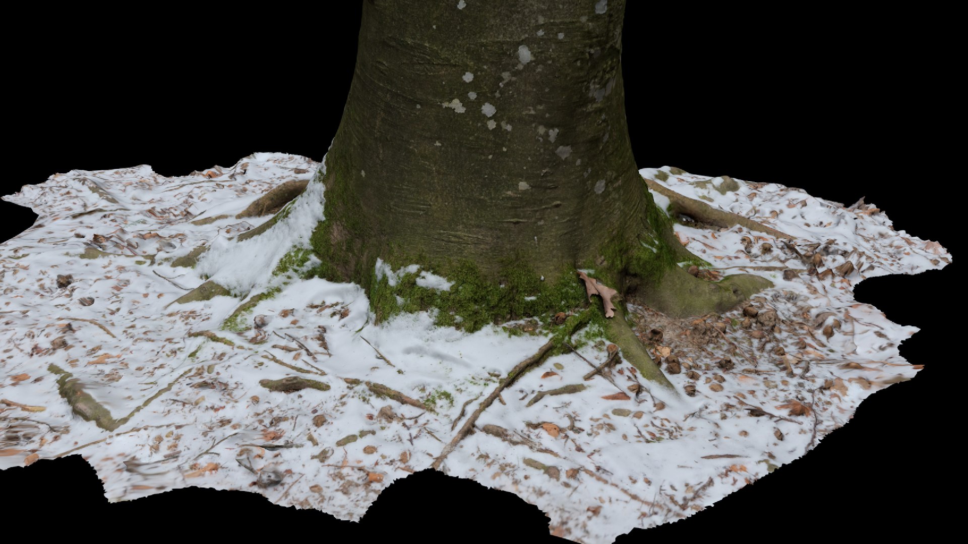 3D Swiss Winter Tree 004 - TurboSquid 2177433