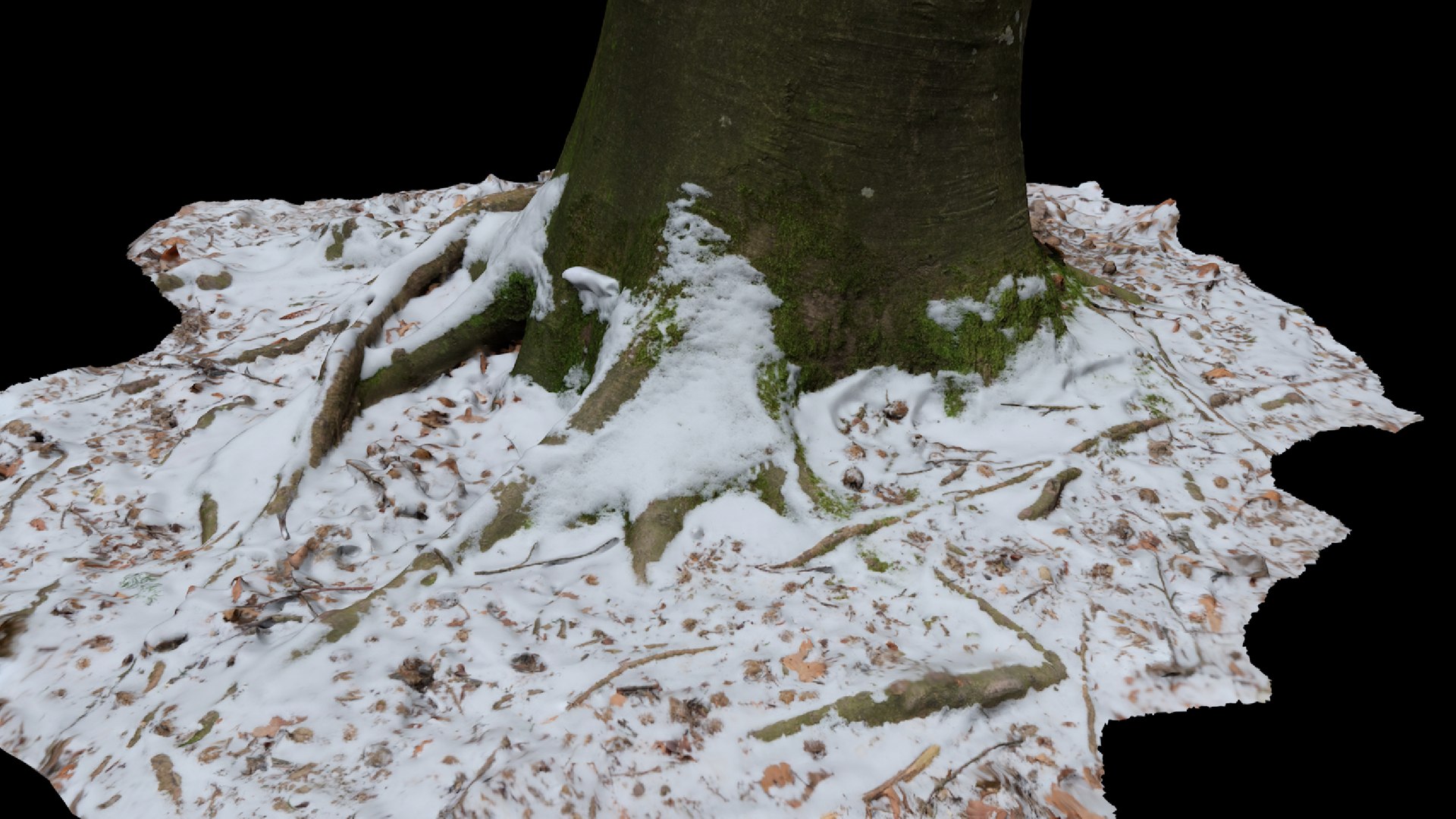 3D Swiss Winter Tree 004 - TurboSquid 2177433