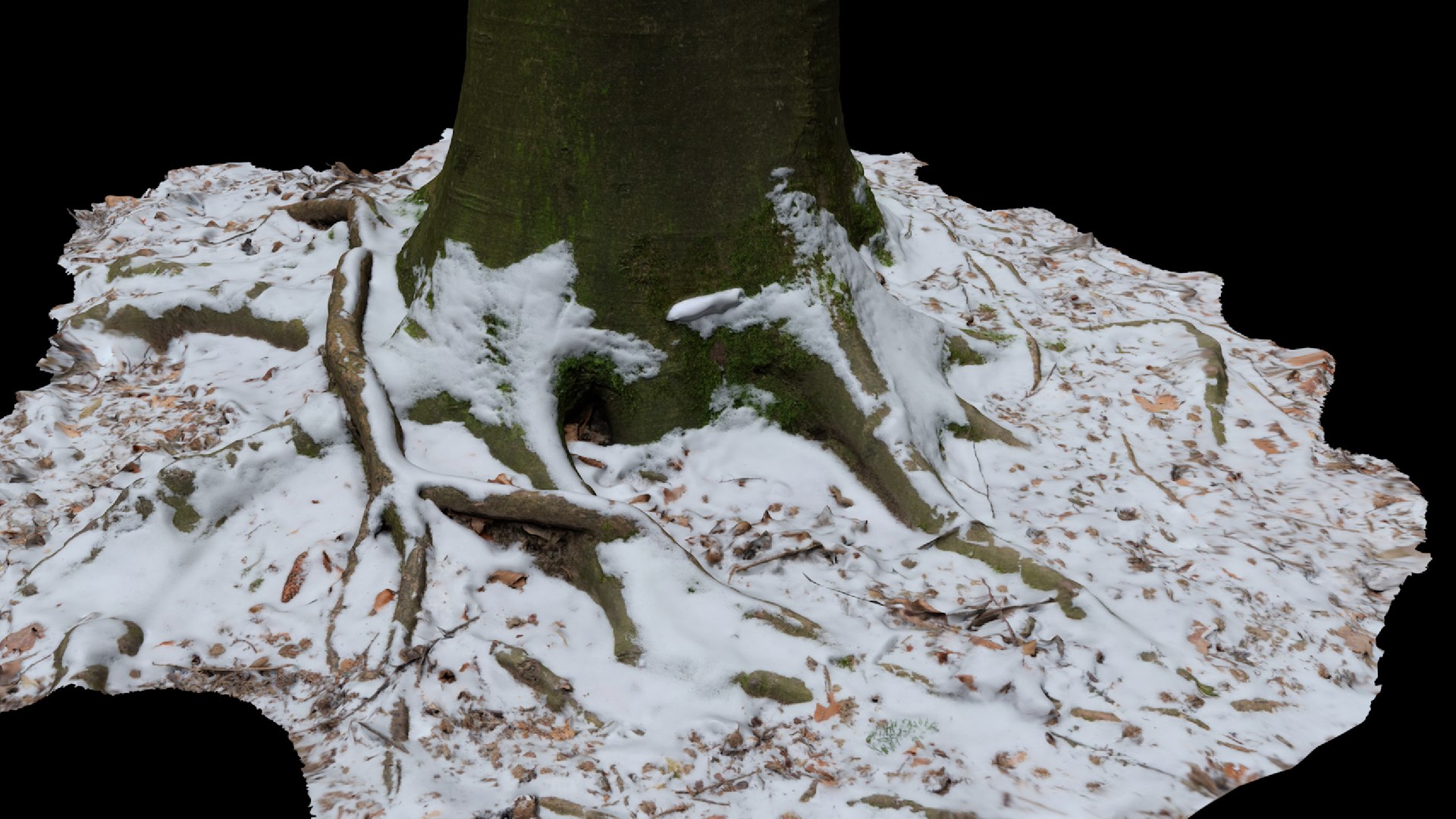 3D Swiss Winter Tree 004 - TurboSquid 2177433