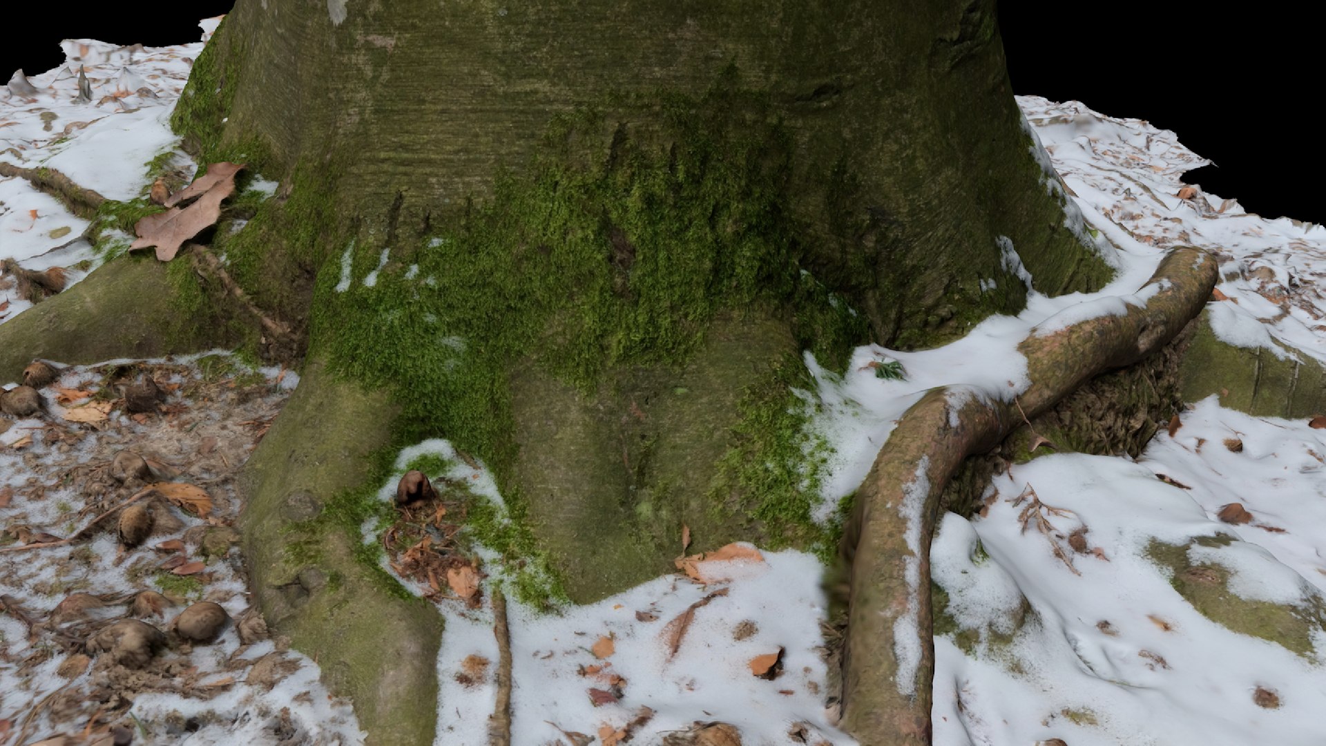 3D Swiss Winter Tree 004 - TurboSquid 2177433