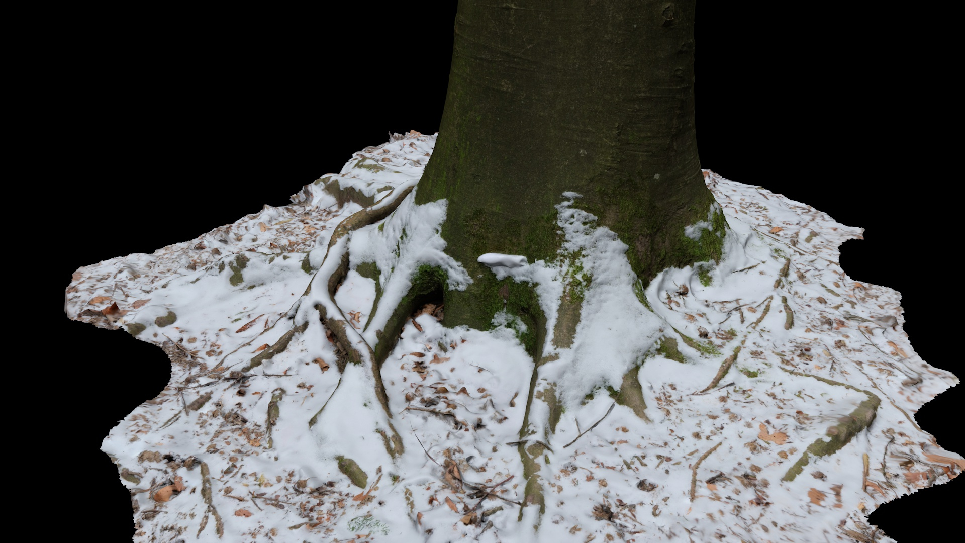 3D Swiss Winter Tree 004 - TurboSquid 2177433