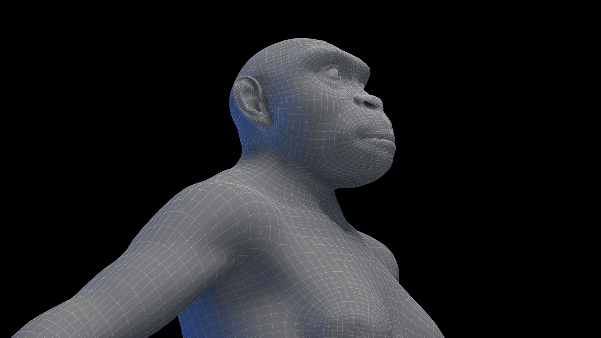 3D Australopithecus Afarensis Female - TurboSquid 2098930