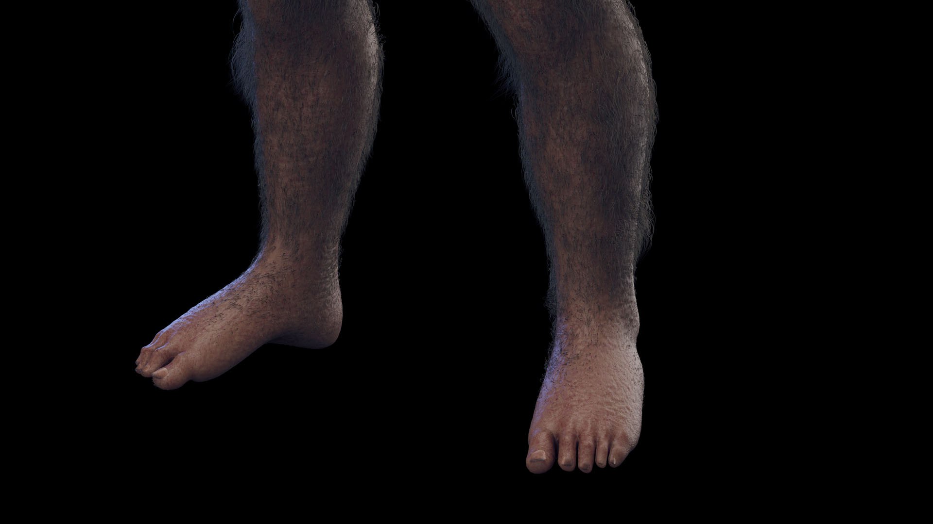 3D Australopithecus Afarensis Female - TurboSquid 2098930