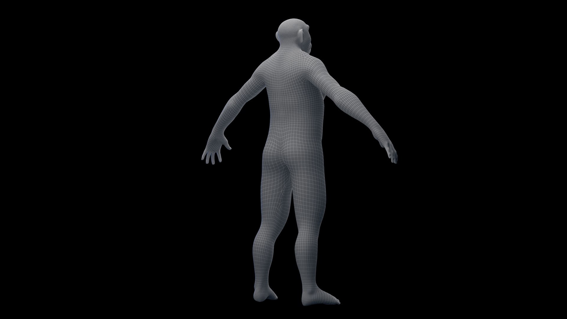 3D Australopithecus Afarensis Female - TurboSquid 2098930
