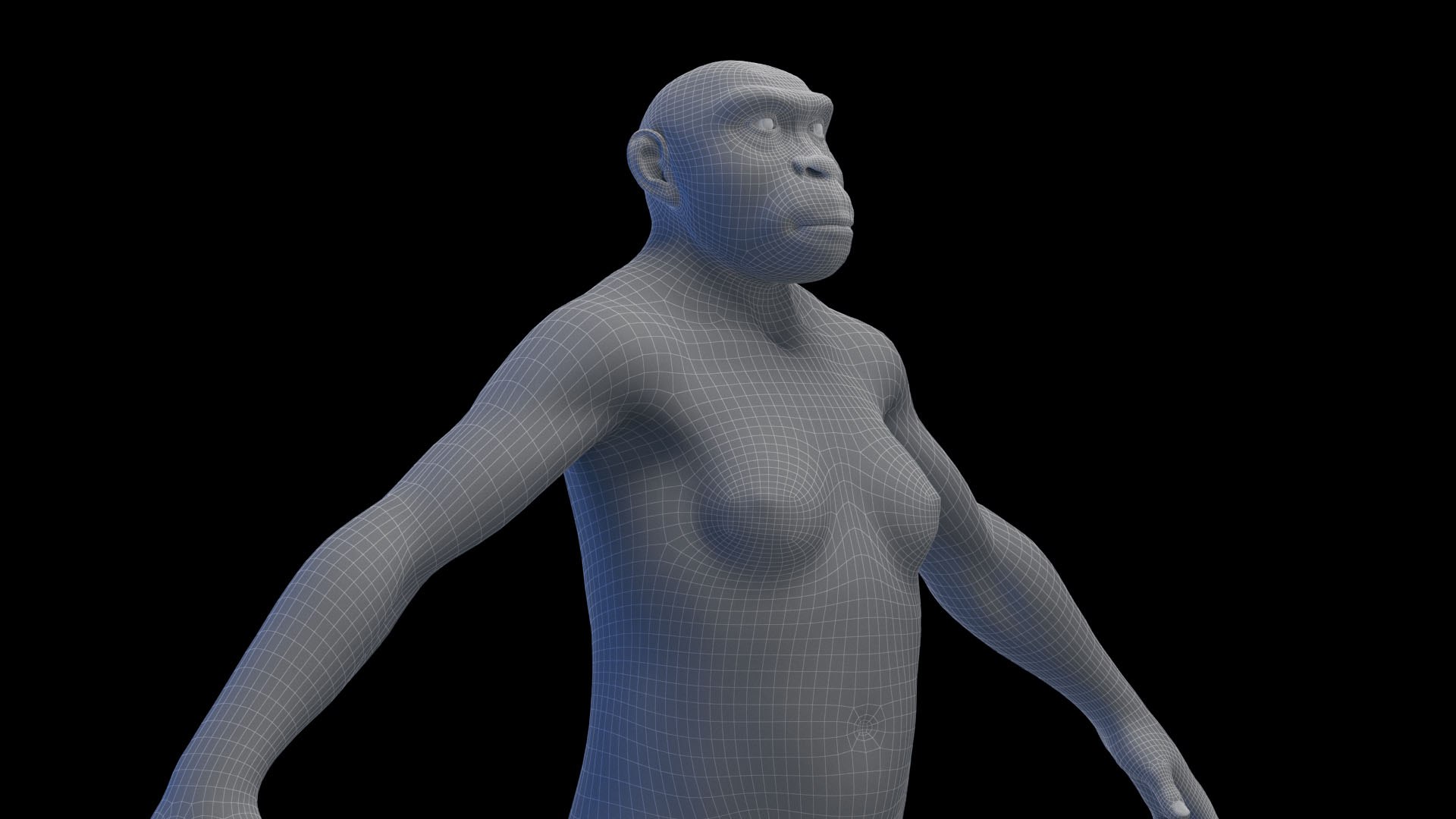 3D Australopithecus Afarensis Female - TurboSquid 2098930