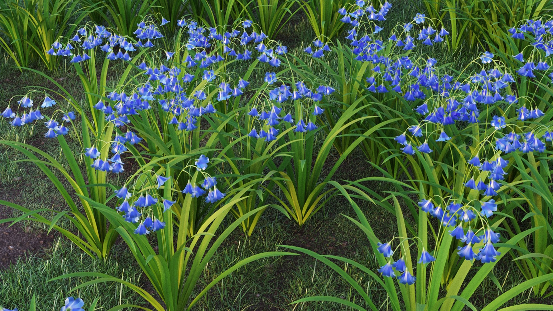 3D Bluebell flower model - TurboSquid 1861474