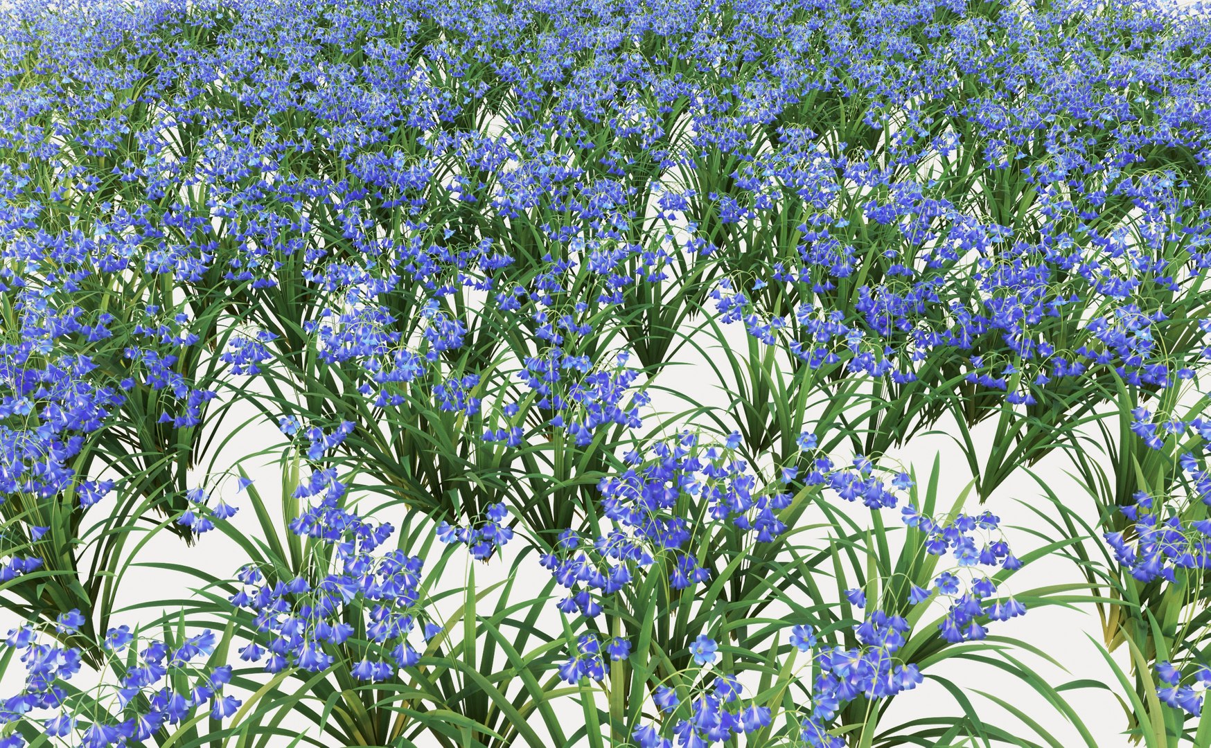 3D Bluebell flower model - TurboSquid 1861474