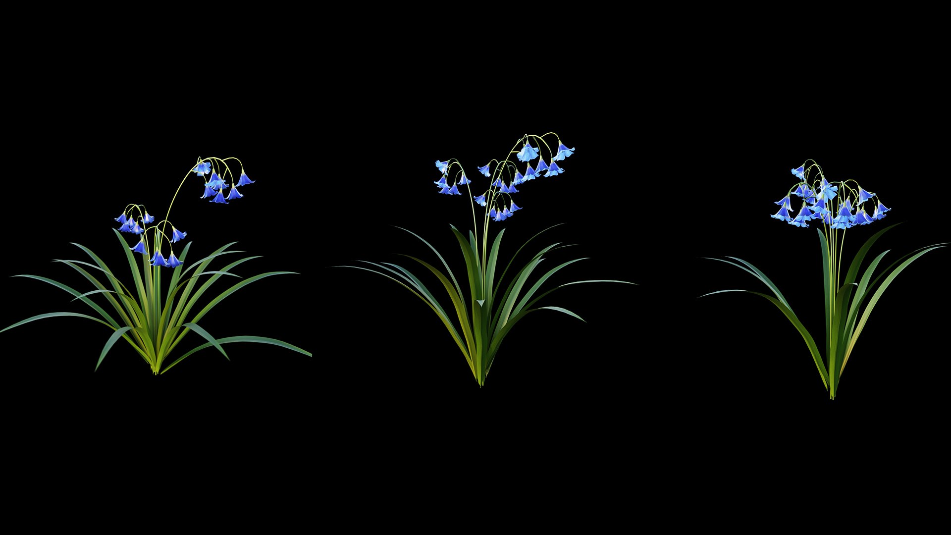 3D Bluebell flower model - TurboSquid 1861474