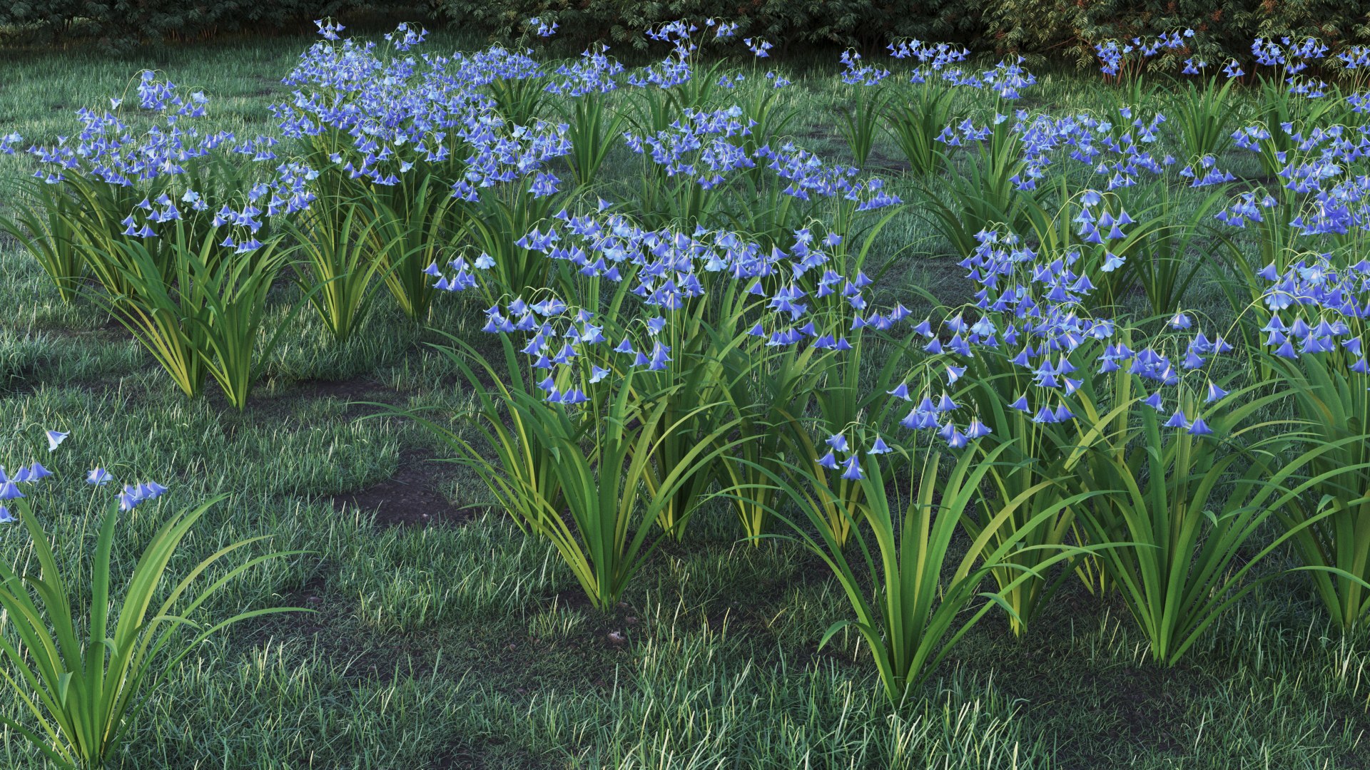 3D Bluebell flower model - TurboSquid 1861474