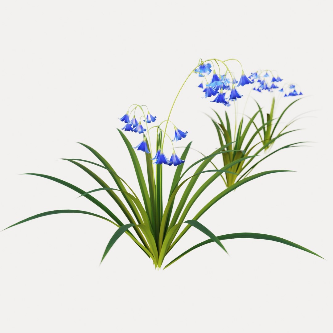 3D Bluebell flower model - TurboSquid 1861474