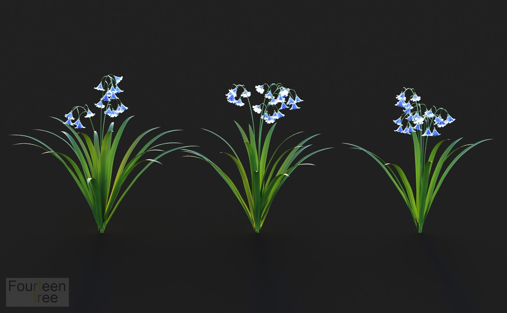 3D Bluebell flower model - TurboSquid 1861474