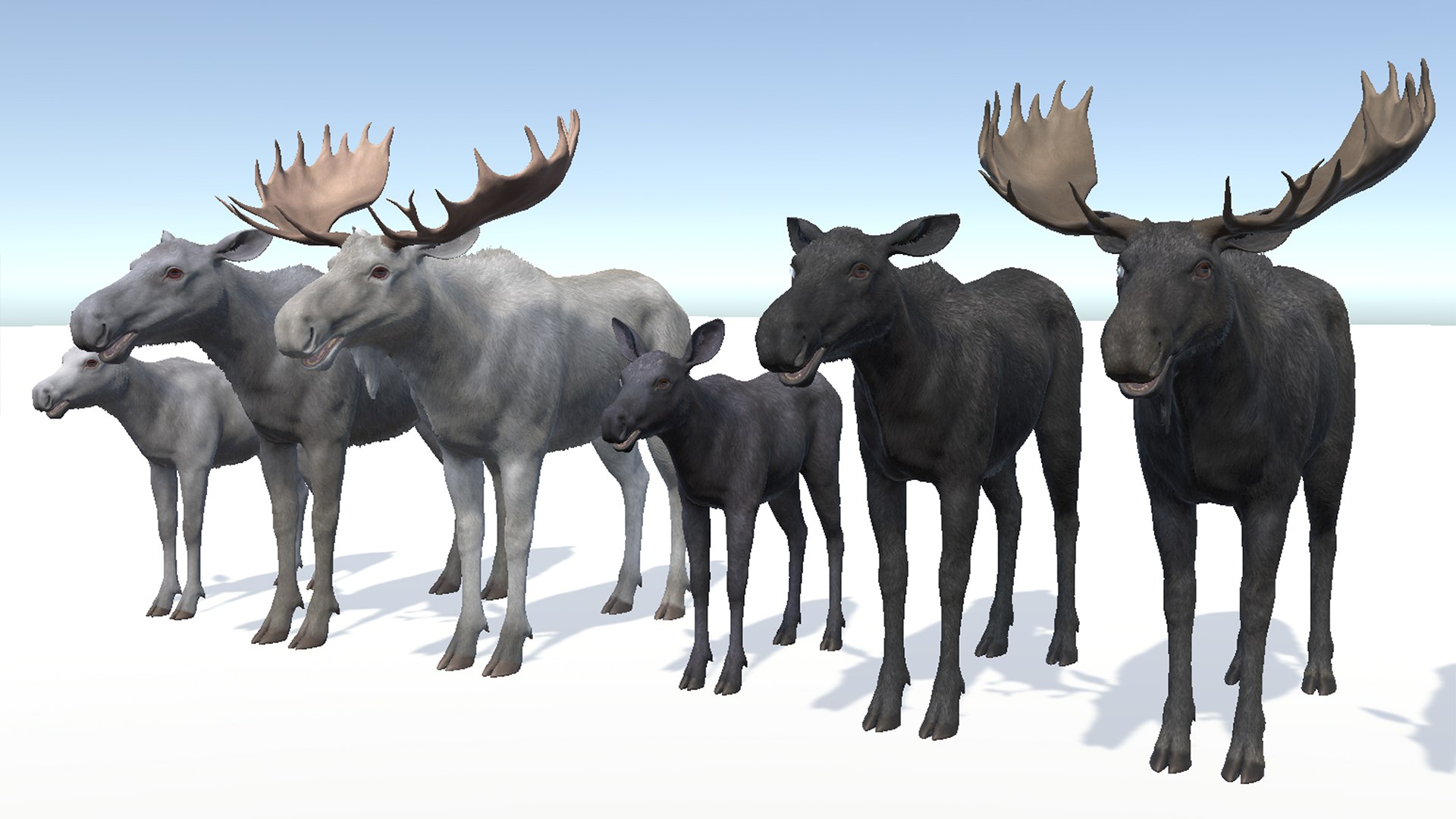 Moose Family 3D model - TurboSquid 2140477