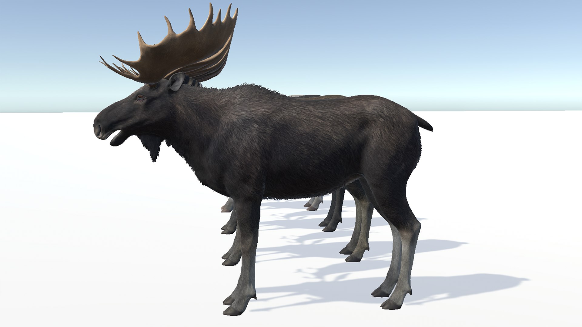 Moose Family 3D model - TurboSquid 2140477