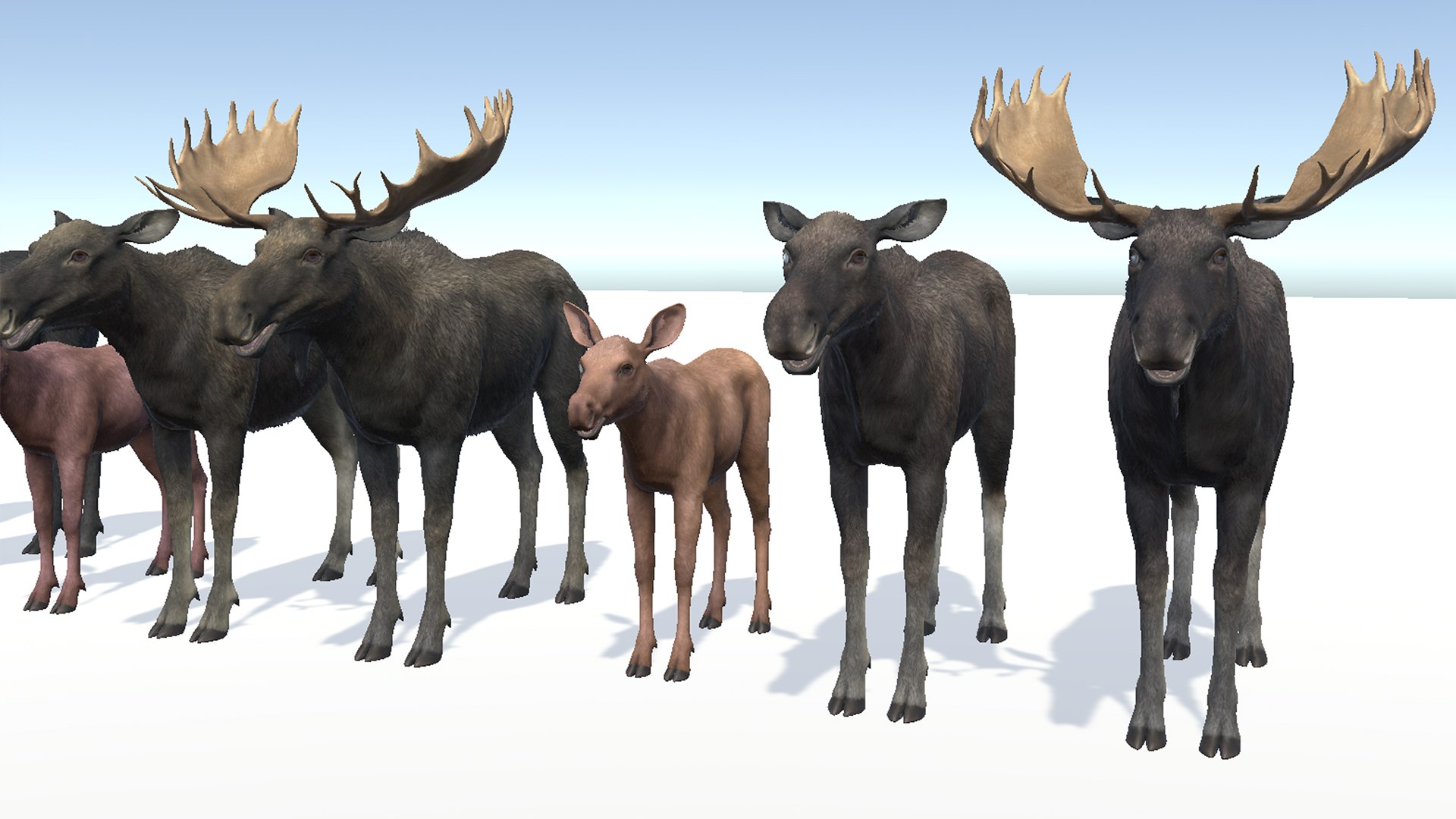 Moose Family 3D model - TurboSquid 2140477