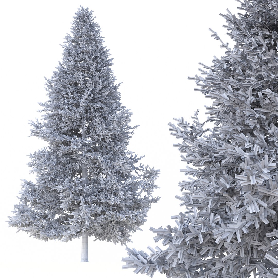 Picea Tree No 2 3D - TurboSquid 2038267