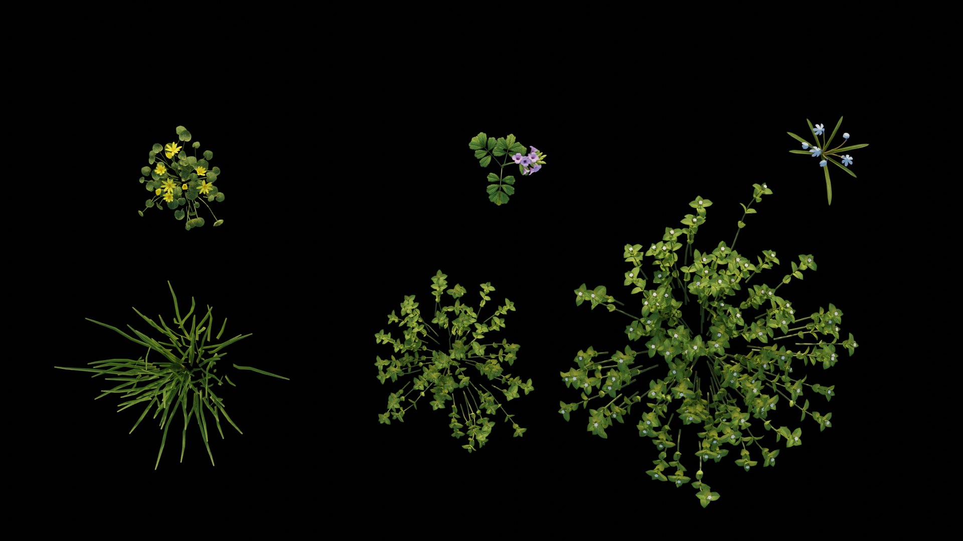 3D object scattering grass field - TurboSquid 2067047