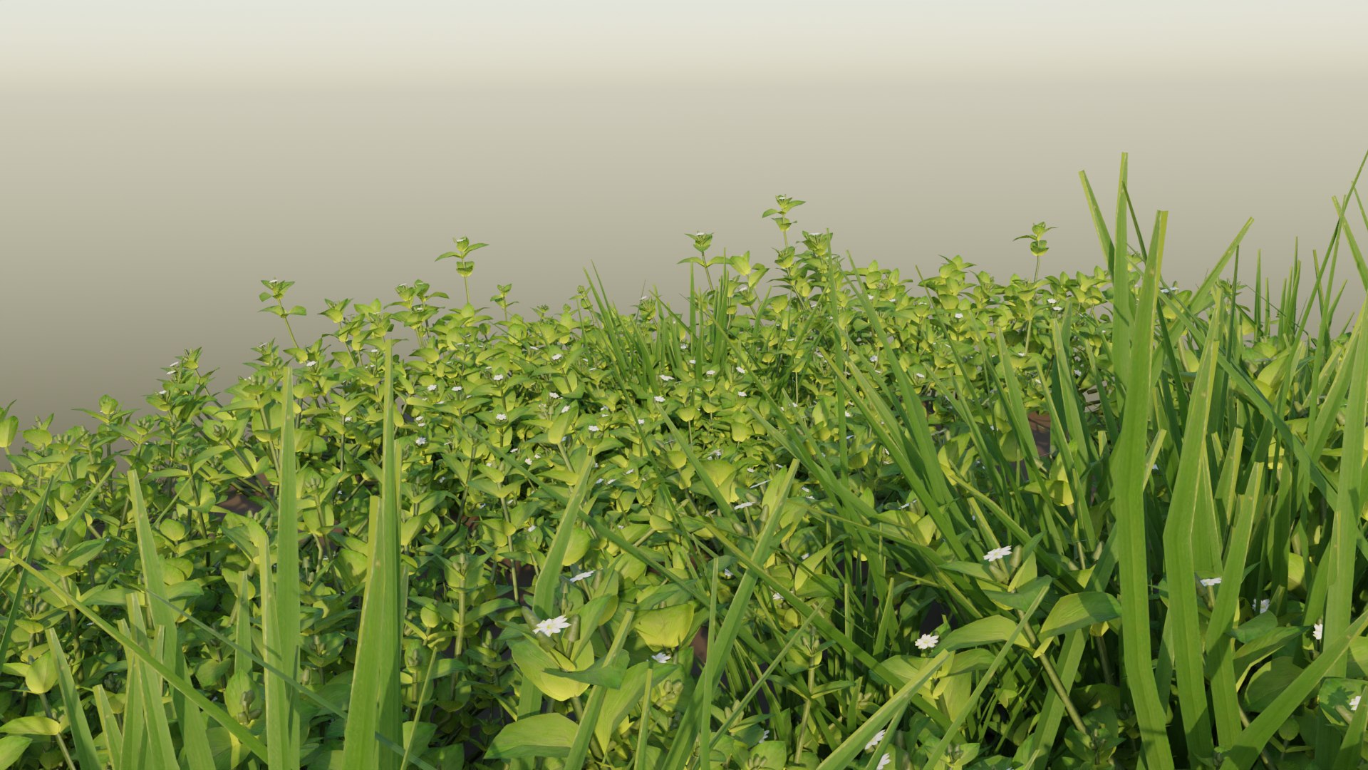 3D object scattering grass field - TurboSquid 2067047