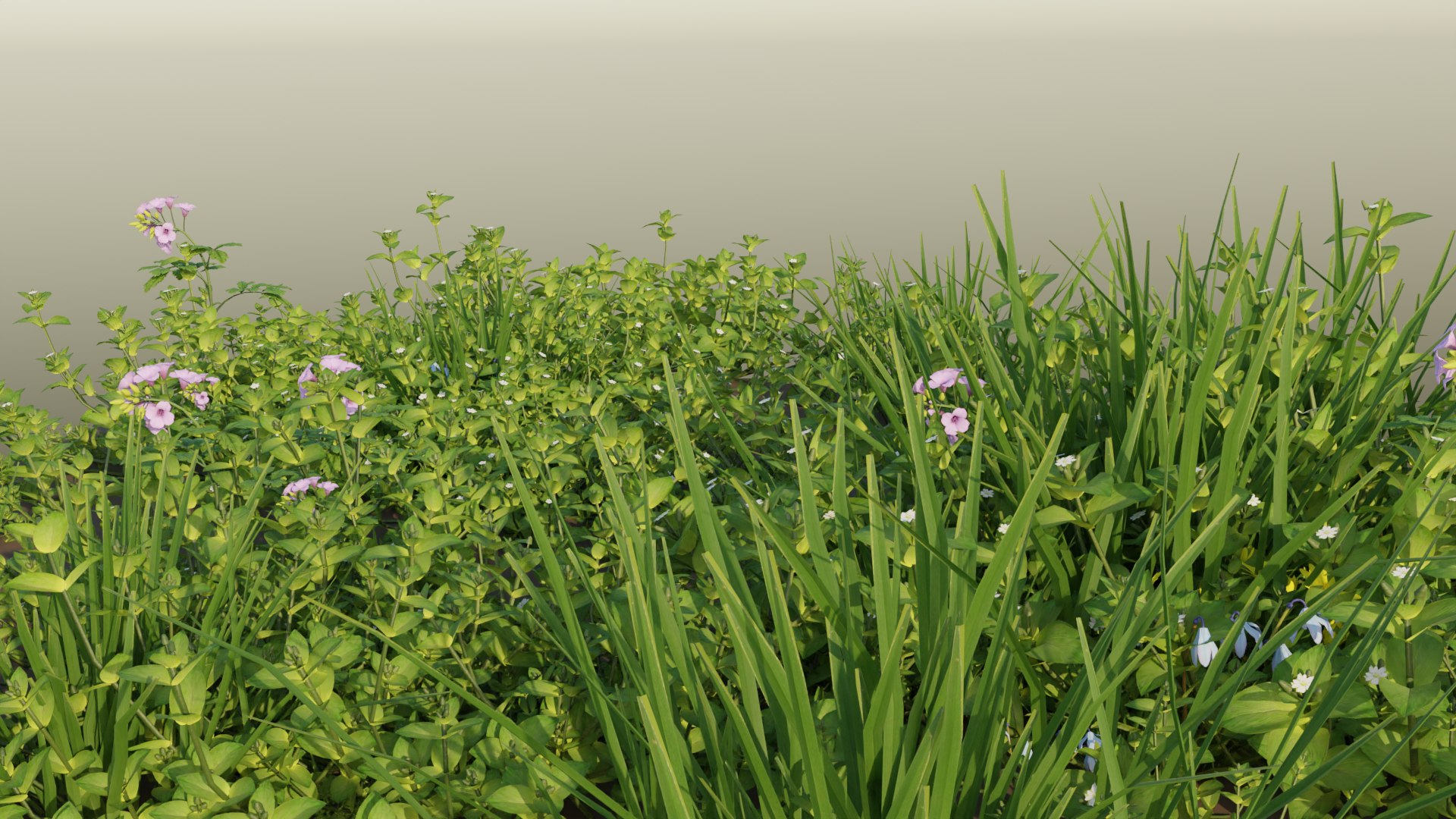 3D object scattering grass field - TurboSquid 2067047