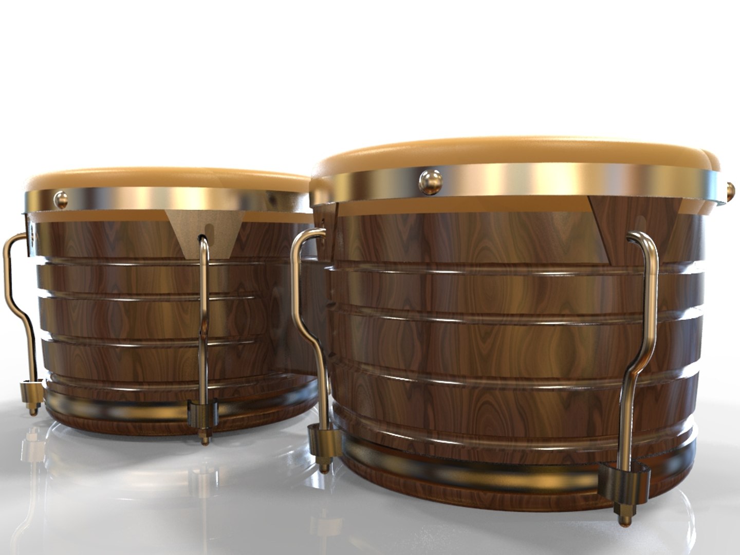 3D bongo model - TurboSquid 1199837