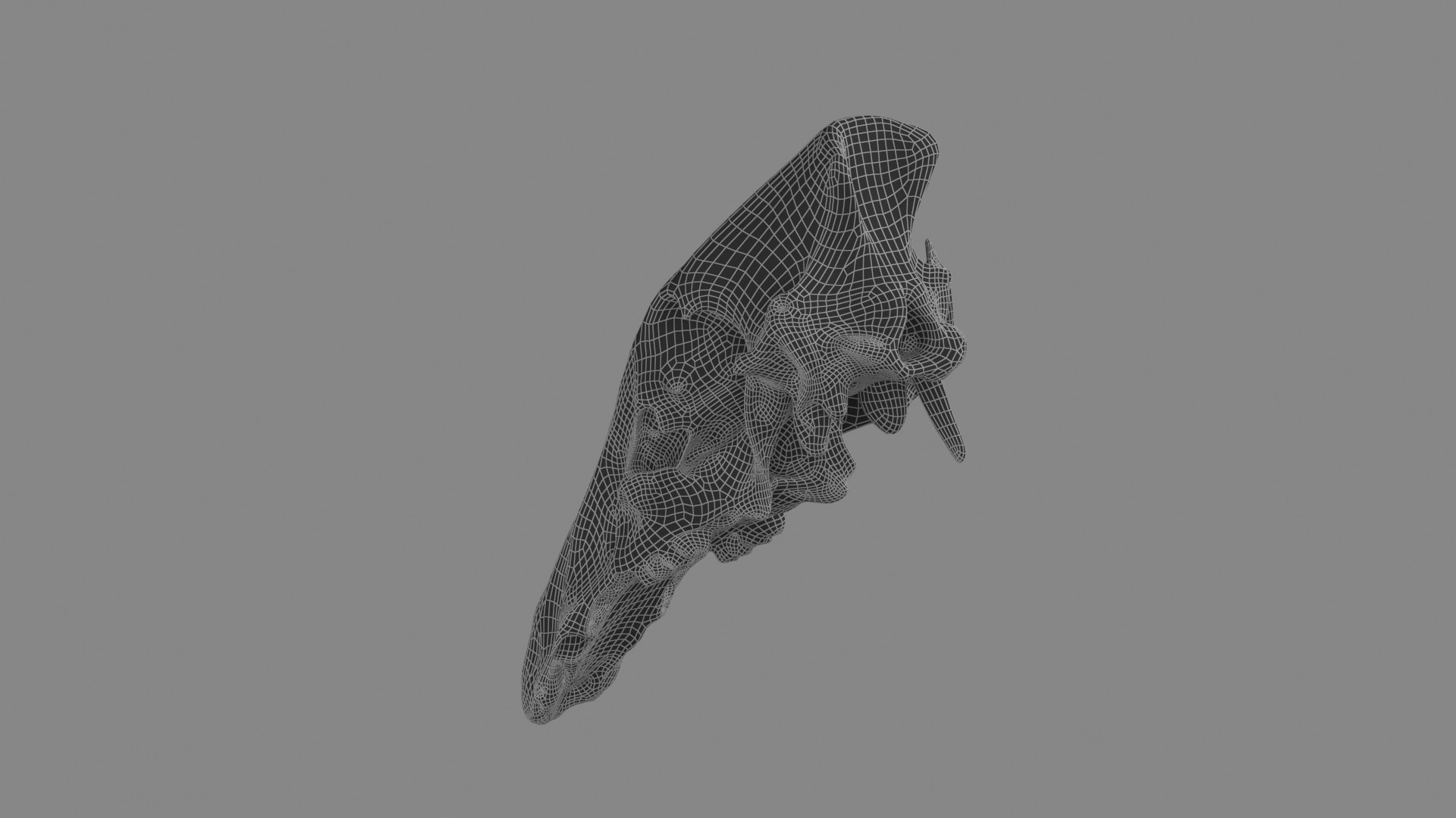 3D Wild Boar Skull Model - TurboSquid 2261122
