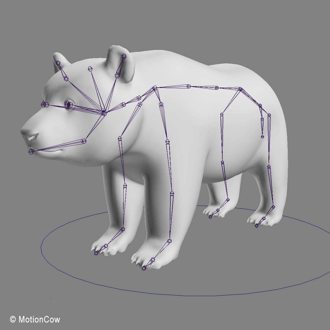 Realistic Panda 3d Model