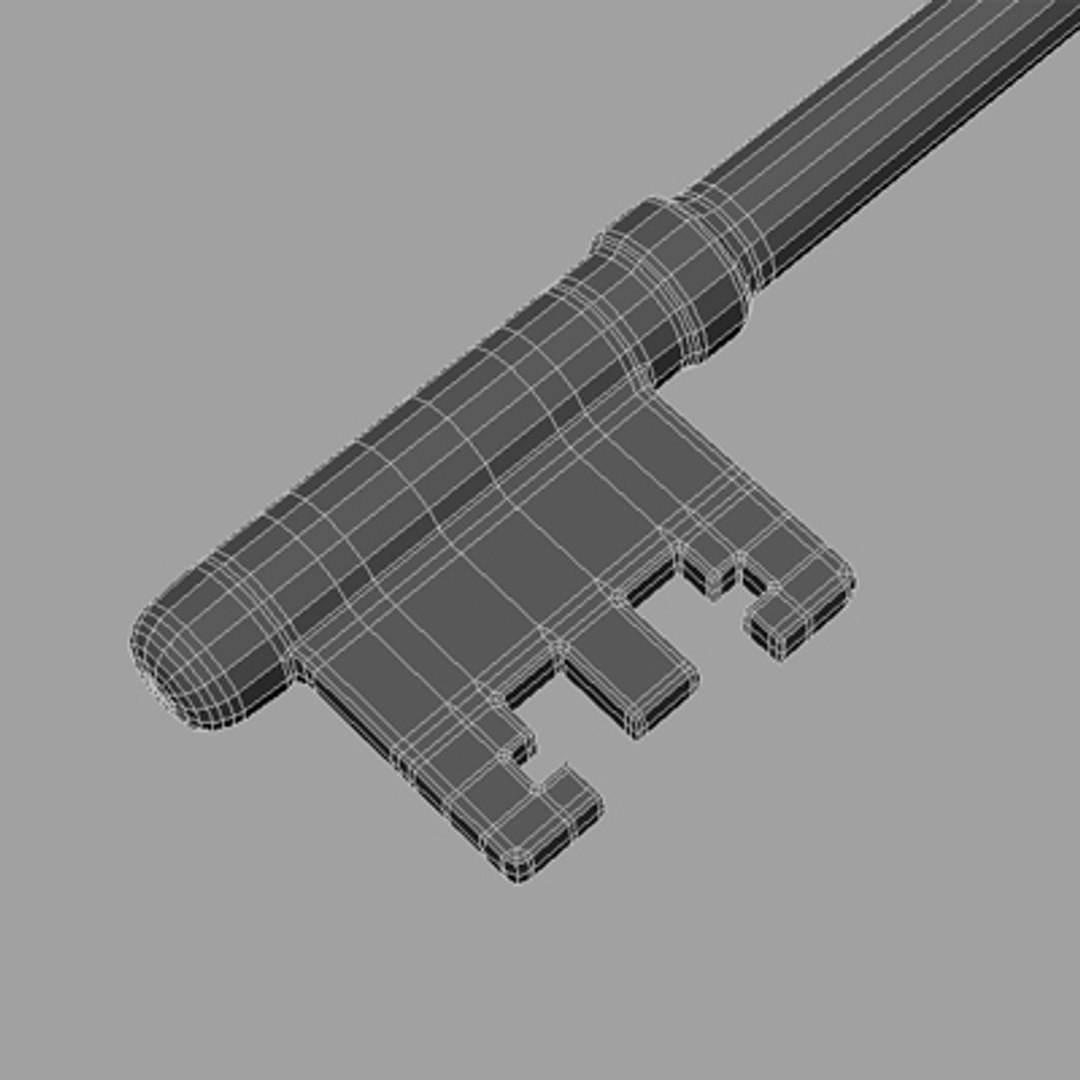 Skeleton Key 3d Model