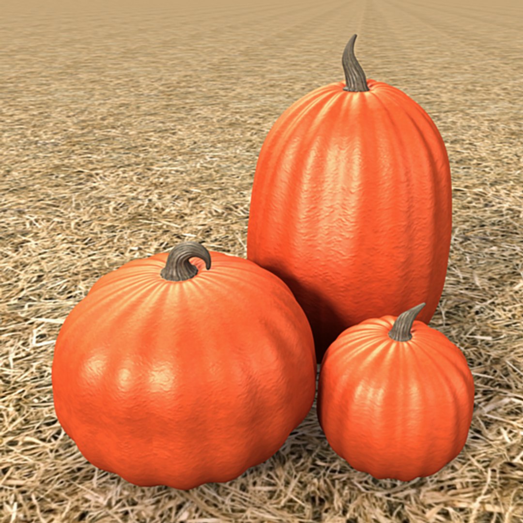 3d 3ds Pumpkins