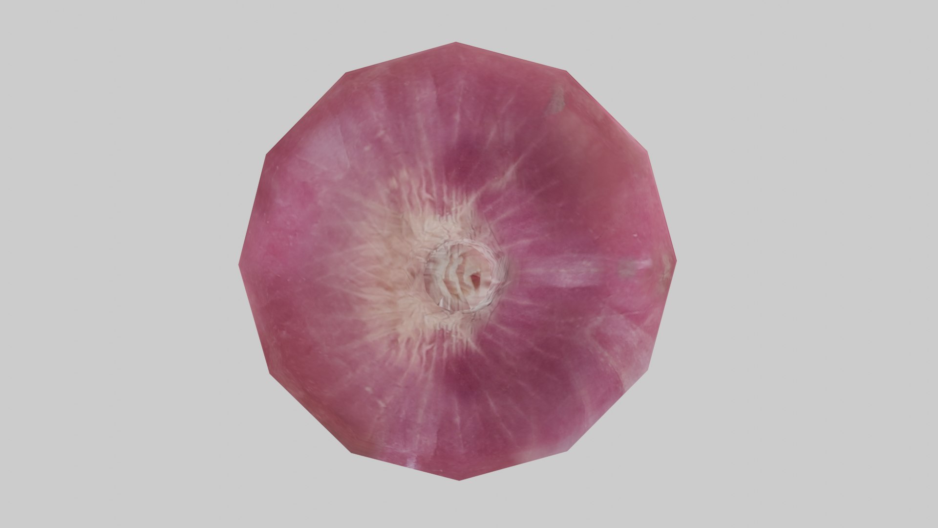 3D Onion Model - TurboSquid 2383820