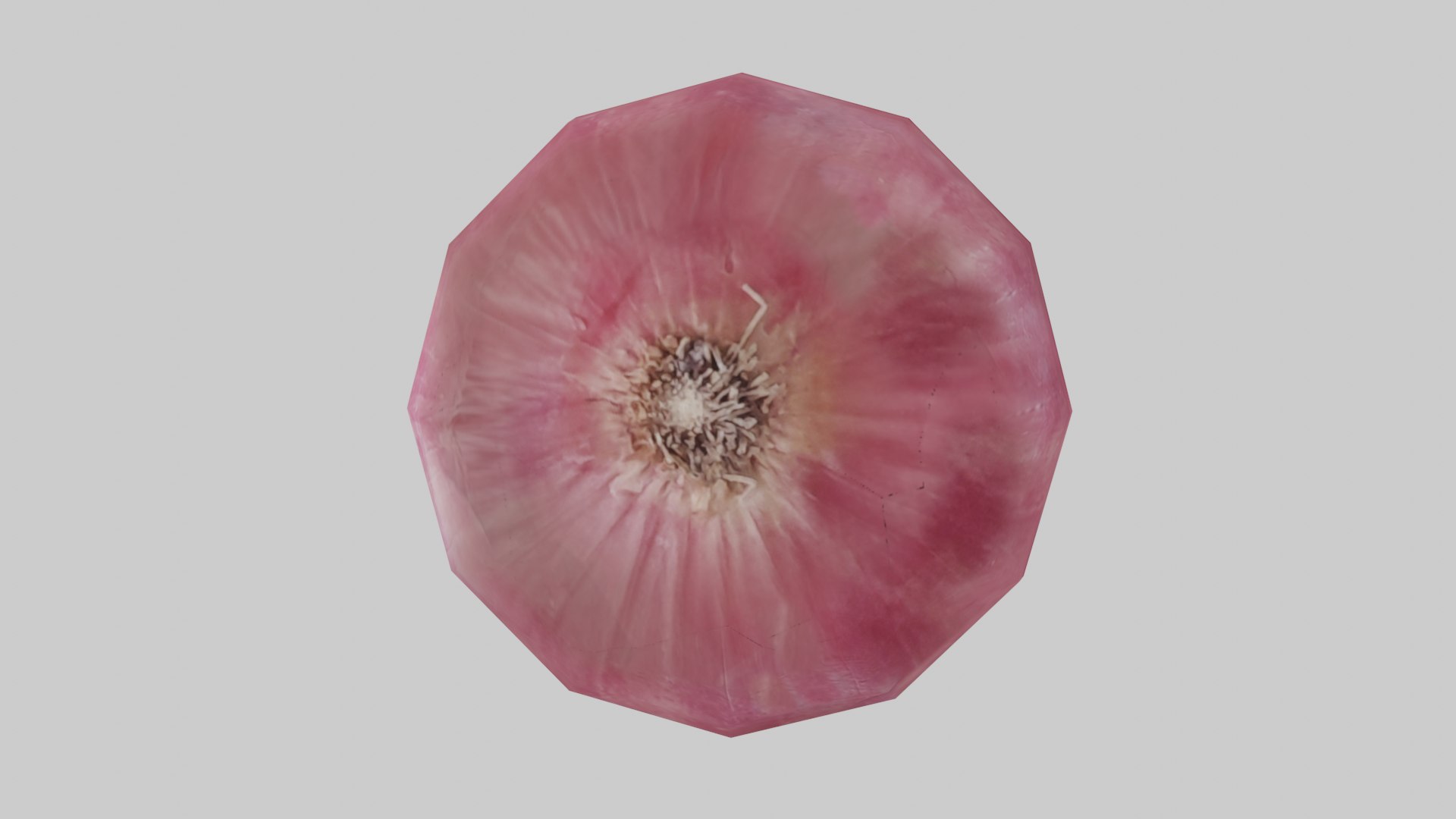 3D Onion Model - TurboSquid 2383820