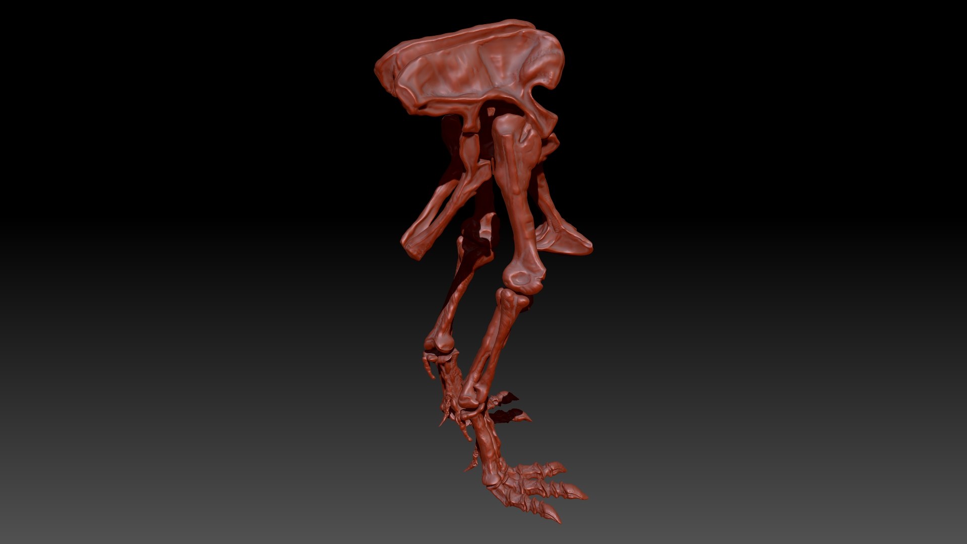 Giganotosaurus Hip Leg Set 3D Model - TurboSquid 1695012