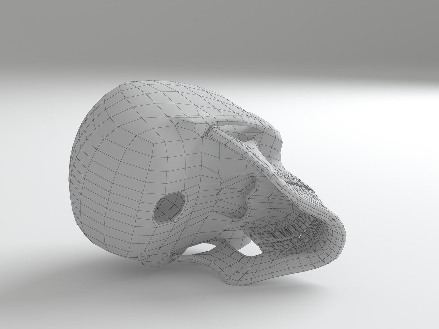 3d model of cranium