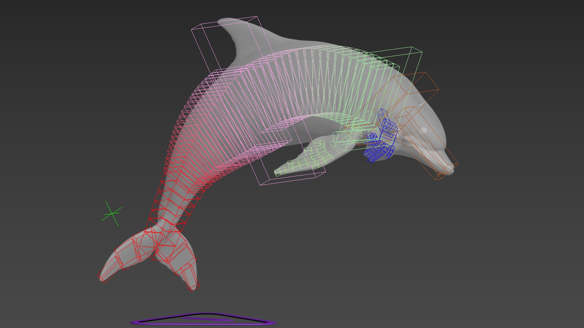 3D model Bottlenose Dolphin Anatomy Rigged - TurboSquid 2130609