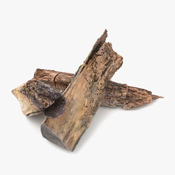 3D sculpt log rotten - TurboSquid 1464049