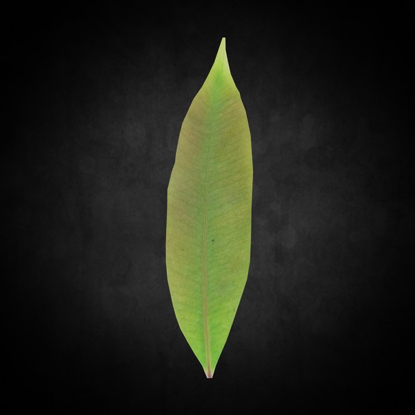 3D Low Poly Leaf 079 - TurboSquid 1852541