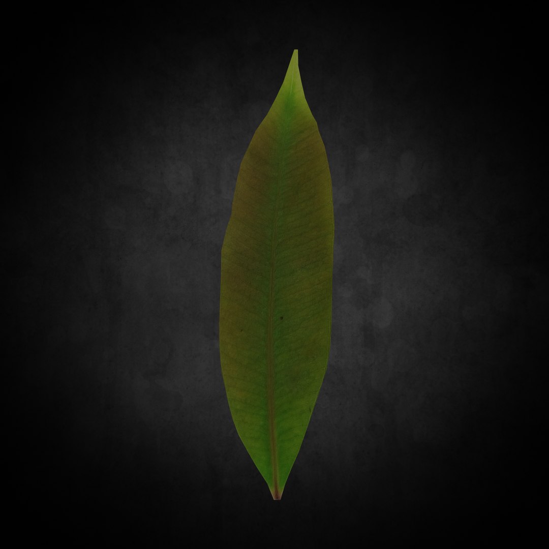 3D Low Poly Leaf 079 - TurboSquid 1852541