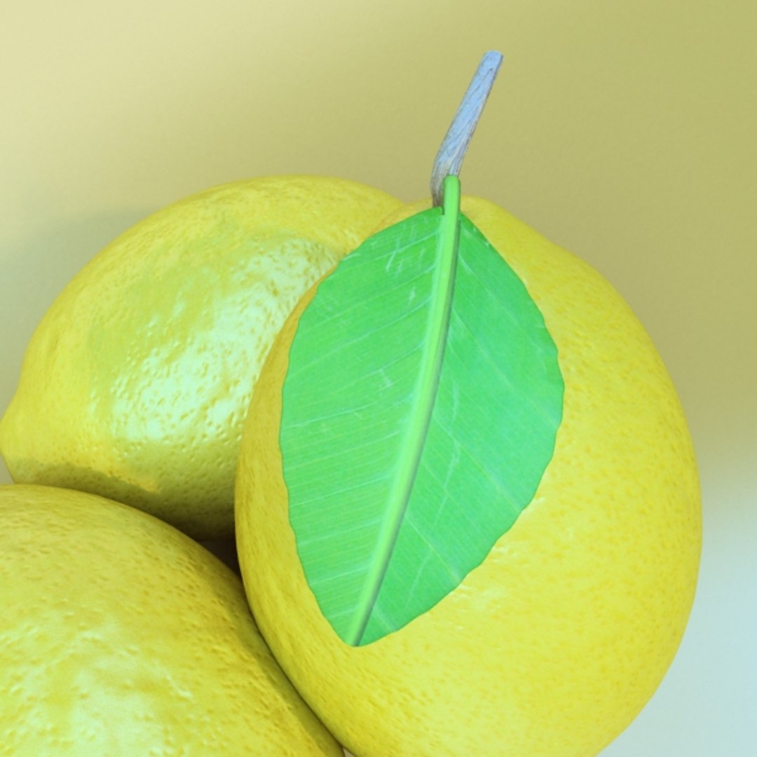 3d model lemon resolution