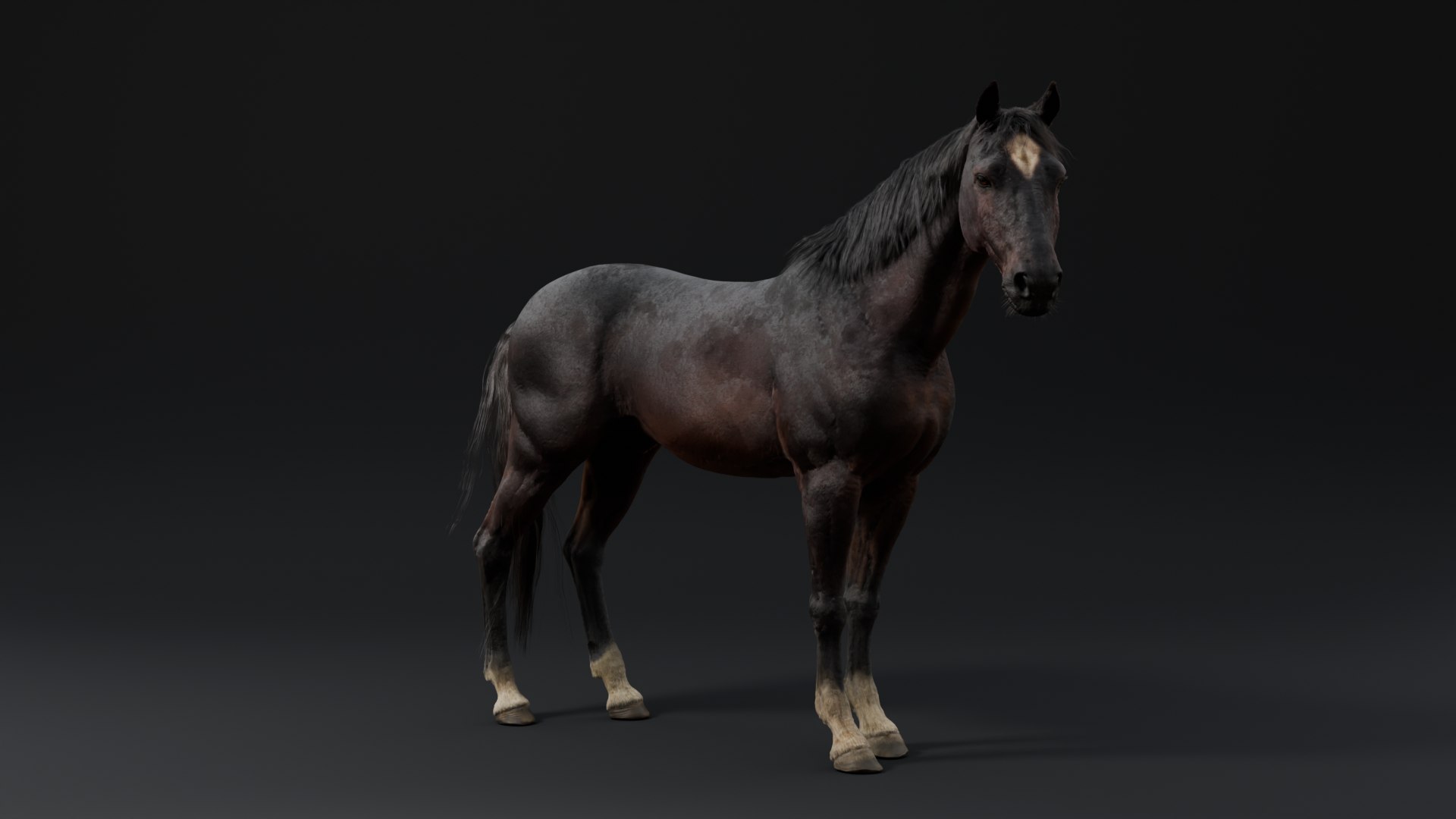 Horse Blender Rigged 3D - TurboSquid 2399630
