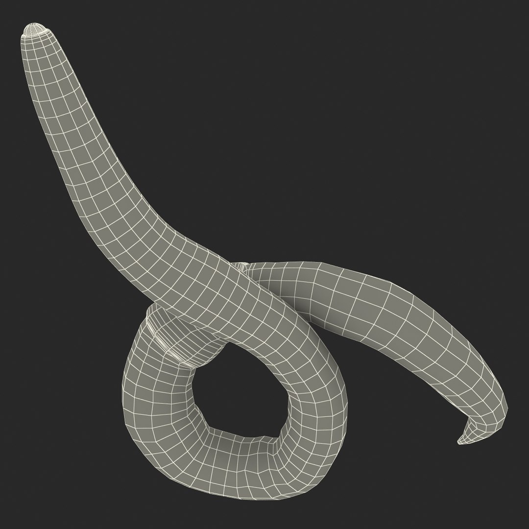 Earth Worm Pose 4 3d C4d