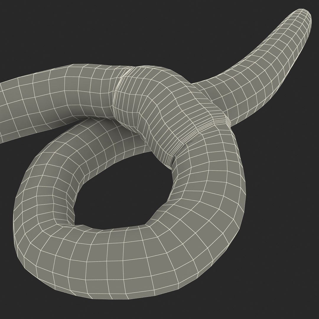 Earth Worm Pose 4 3d C4d