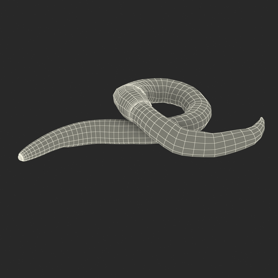 Earth Worm Pose 4 3d C4d