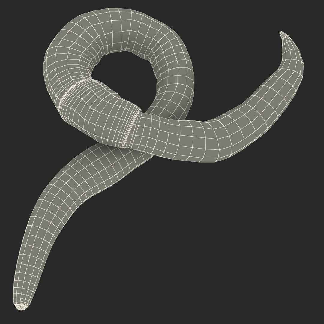 Earth Worm Pose 4 3d C4d