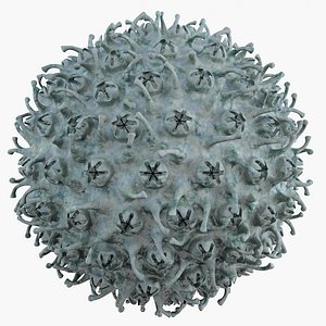 Free 3D Virus Models | TurboSquid