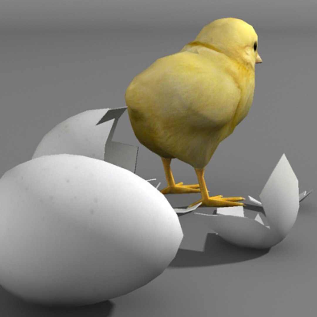 3d chicken eggs